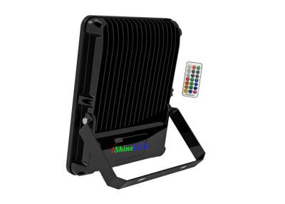 China Remote Control  Outdoor LED Flood Lights IP66 Protection 100W For Garden for sale