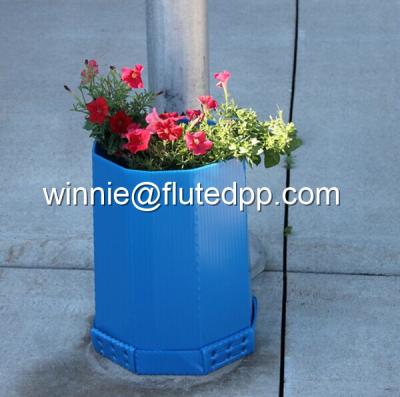 China Corrugated Corflute Sheet For PP Triangle Plant Guards for sale