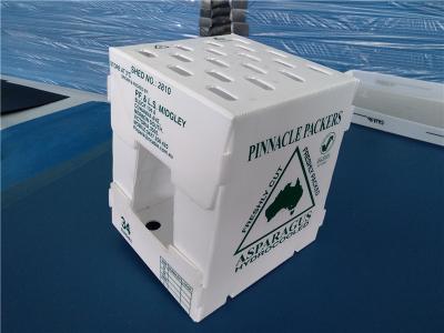 China 4mm PP corrugated plastic box for sale
