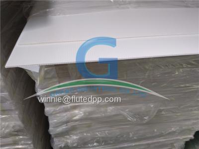 China 3mm 5mm corflute sheet for sale