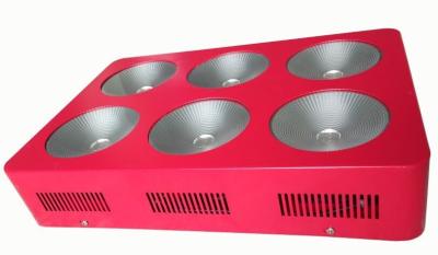 China Red Blue COB 6 Band LED Grow Lights for Veg/Growth/Flowering for sale