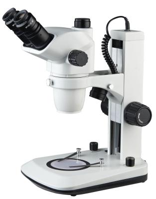 Cina Microscopio stereo dello zoom di Trinocular con illuminazione della macchina fotografica digitale/LED in vendita