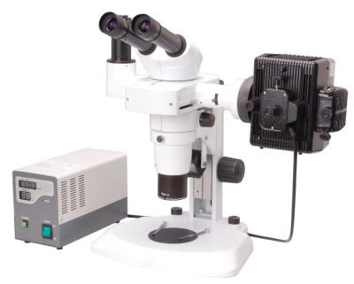 Cina Microscopio stereo dello zoom con la macchina fotografica in vendita