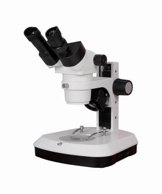 Cina Microscopio stereo dello zoom di Leica in vendita