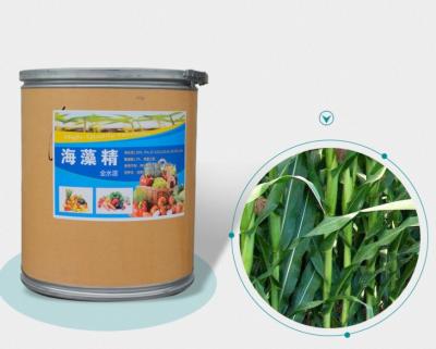 중국 seaweed extract powder fertilizer 판매용