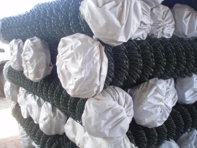 Cina Collegamento a catena galvanizzato del RECINTO del CICLONE che recinta 55mm per il giardino residenziale in vendita