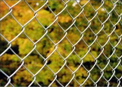 Cina Il vinile del nero del cavo mesh/6ft del diamante ha ricoperto il recinto galvanizzato del collegamento a catena in vendita