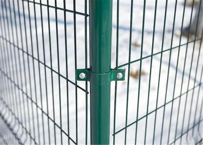 China /PVC galvanizado de alta qualidade revestiu os painéis soldados da cerca da rede de arame à venda
