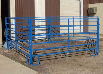 Cina i pannelli dell'iarda del cavallo del bestiame di 9ft x di 4ft per Unite indica i pannelli del recinto del bestiame della tubatura dell'azienda agricola 40mm in vendita