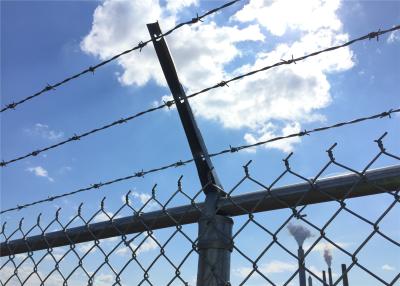 Cina Sistema galvanizzato immerso caldo del recinto del collegamento a catena in vendita