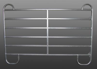 Cina Powder Coated Metal Livestock Corral Panel in vendita