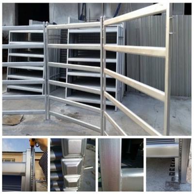 Cina l'ovale dei pannelli del bestiame di 2100mm x di 1800mm convoglia 30mm x 60mm, 40mm x 80mm in vendita