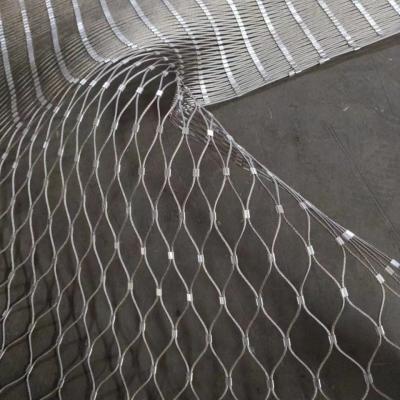China Wire Rope Plant Trellis System Stainless steel rope mesh for sale