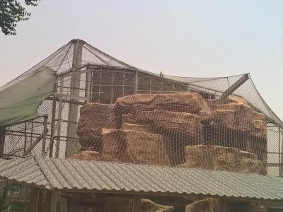 Cina stainless steel wire rope mesh for zoo in vendita