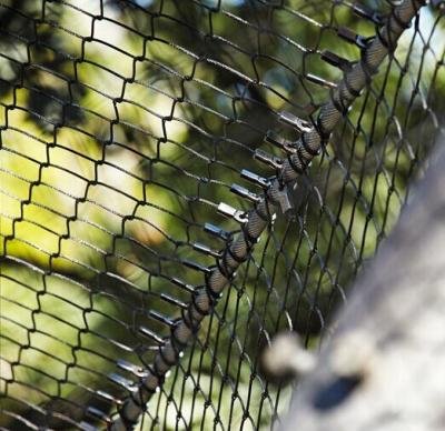 Cina Stainless Steel Wire Rope Mesh X tend wire rope mesh AISI 316L in vendita