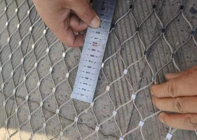 Cina x tend stainless steel zoo mesh in vendita