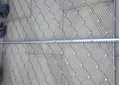 Cina AISI 316 Diamond Shape Ferruled Stainless Steel Wire Rope Mesh for decorationTEND mesh in vendita