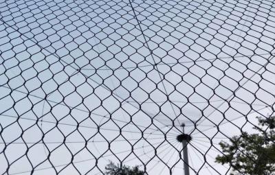 Cina flexible x-tend cable 304 316 stainless steel rope mesh in vendita