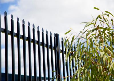 Cina press point spear powder coated satin black steel fence 2100mm x 2400mm in vendita