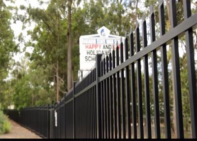 Cina Security Fence, Tubular Fencing, Crimp-Top steel Black Fence Panels in vendita