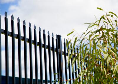 Κίνα Steel Fencing Panels 1.80meter x 2.4meter Rails 40mm*40mm*1.6mm stain black powder Upright spacing 140mm centre προς πώληση