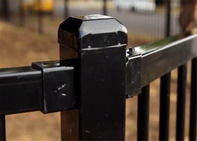 Cina Customized Powder Coating Steel Fence and Steel Gate Designs in vendita