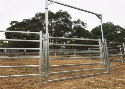 China Cattle Yard Panels 1.6mx1.8m 0val 30mmx60mm design Farm Fencing Te koop