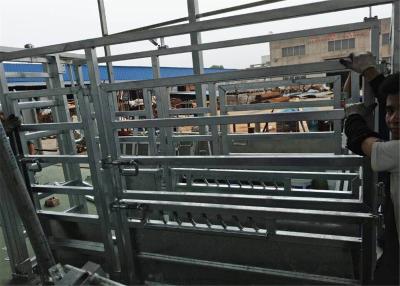 China cattle crushes for sale