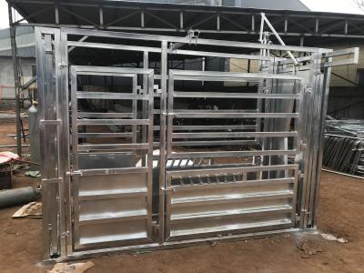 Cina Galvanized steel Sheep Panel in vendita