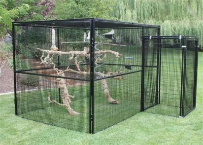 Cina Customized  Bird Aviary /Parrot Aviary Customized Own Size in vendita