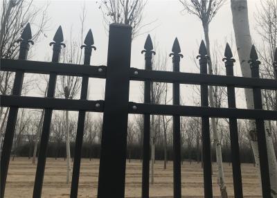 中国 Coated Steel Garden and Park Fence 1200mm x 2400mm stain RAL 6005 color upright 25mmx25mm 販売のため