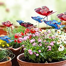 Butterfly Stakes