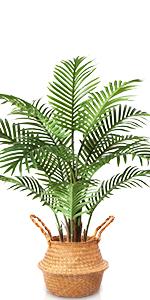 37 Inch mini palm tree