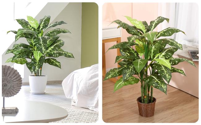 Artificial Golden Dieffenbachia Plant