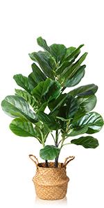 Artificial Fiddle Leaf Fig Tree