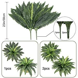 2PACK FERNS SIZE 2