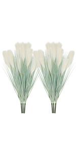 reed