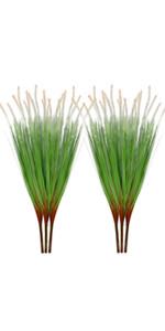 cattail grass