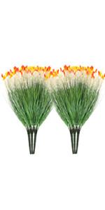 orange petals