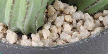Artificial Cactus