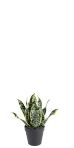 Artificial plant