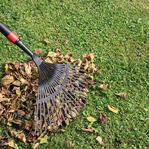 Yard Waste Bags