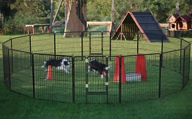 Dog Exercise Pen
