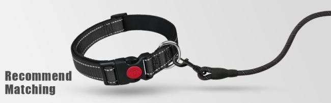 rope dog leash
