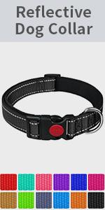 Dog Collar