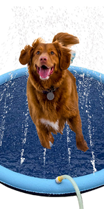 splash pad