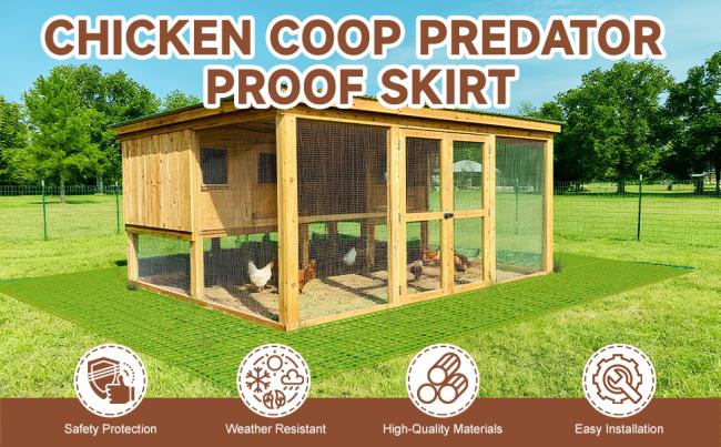 Chicken Wire Bottom Predators Resistant