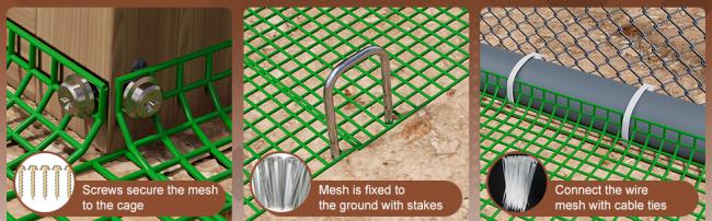 Chicken Wire Bottom Predators Resistant
