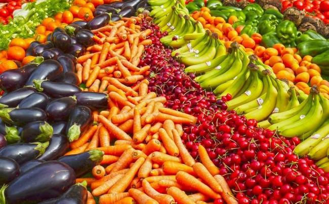 all purpose bird deer netting