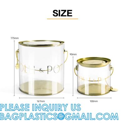 Cina Plastic Tin Cans, For Crafts, Decorating, Baby/Wedding Shower Decor, Quart Size Clear Plastic Paint Cans in vendita